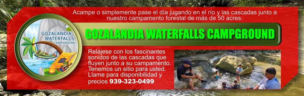 Mariana Bracetti: un perfil y una imagen – Páginas Amarillas Puerto Rico